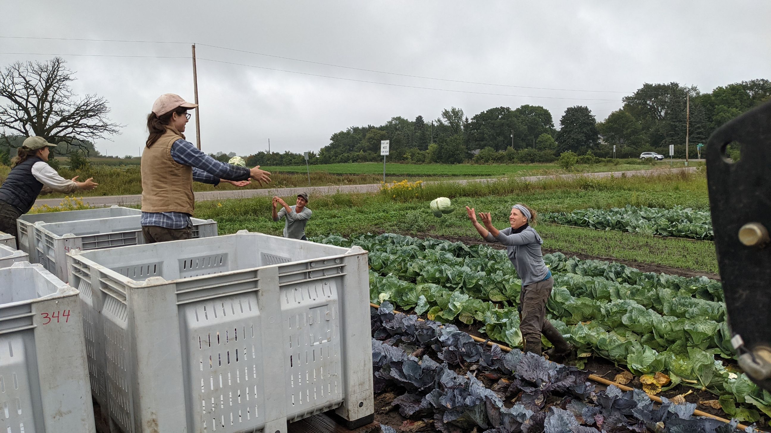 Employment – Open Hands Farm